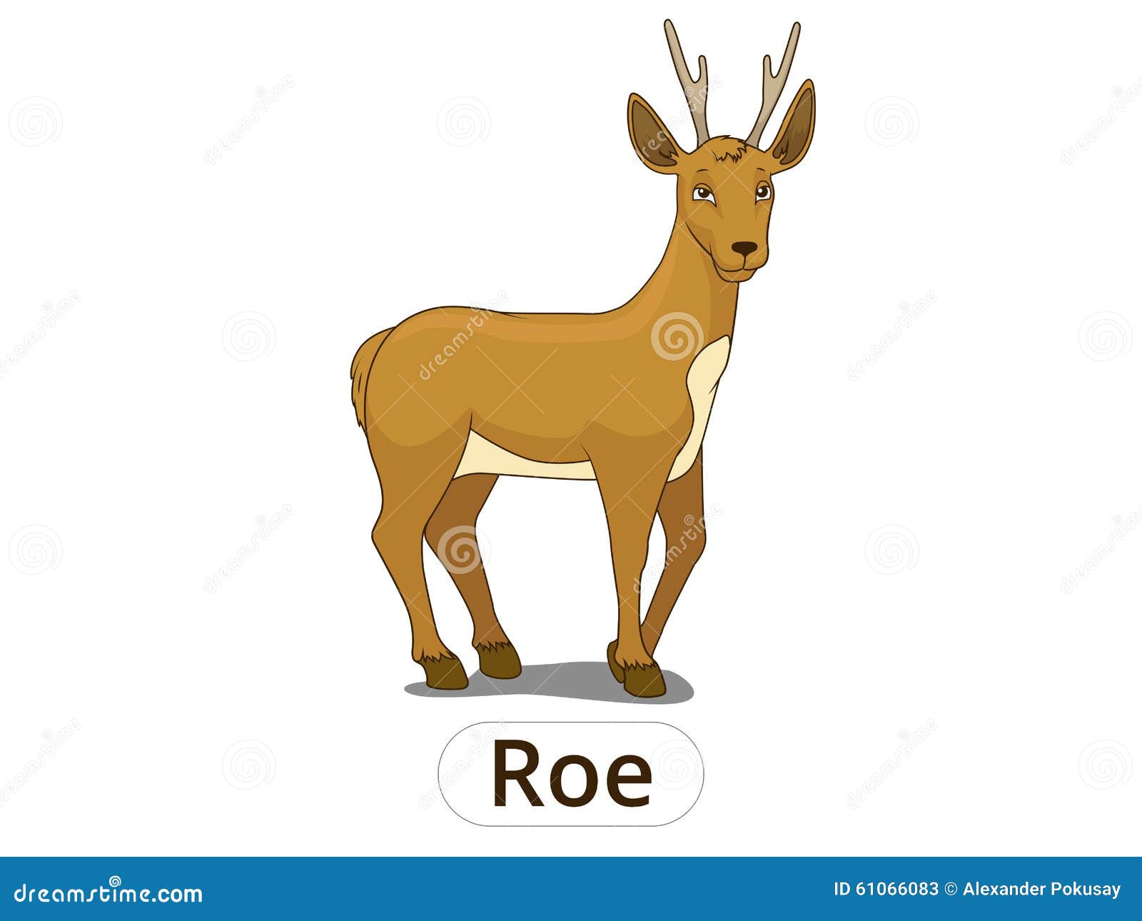 Forest Animal Roe Deer Cartoon Vector Illustration Stock Vector ...