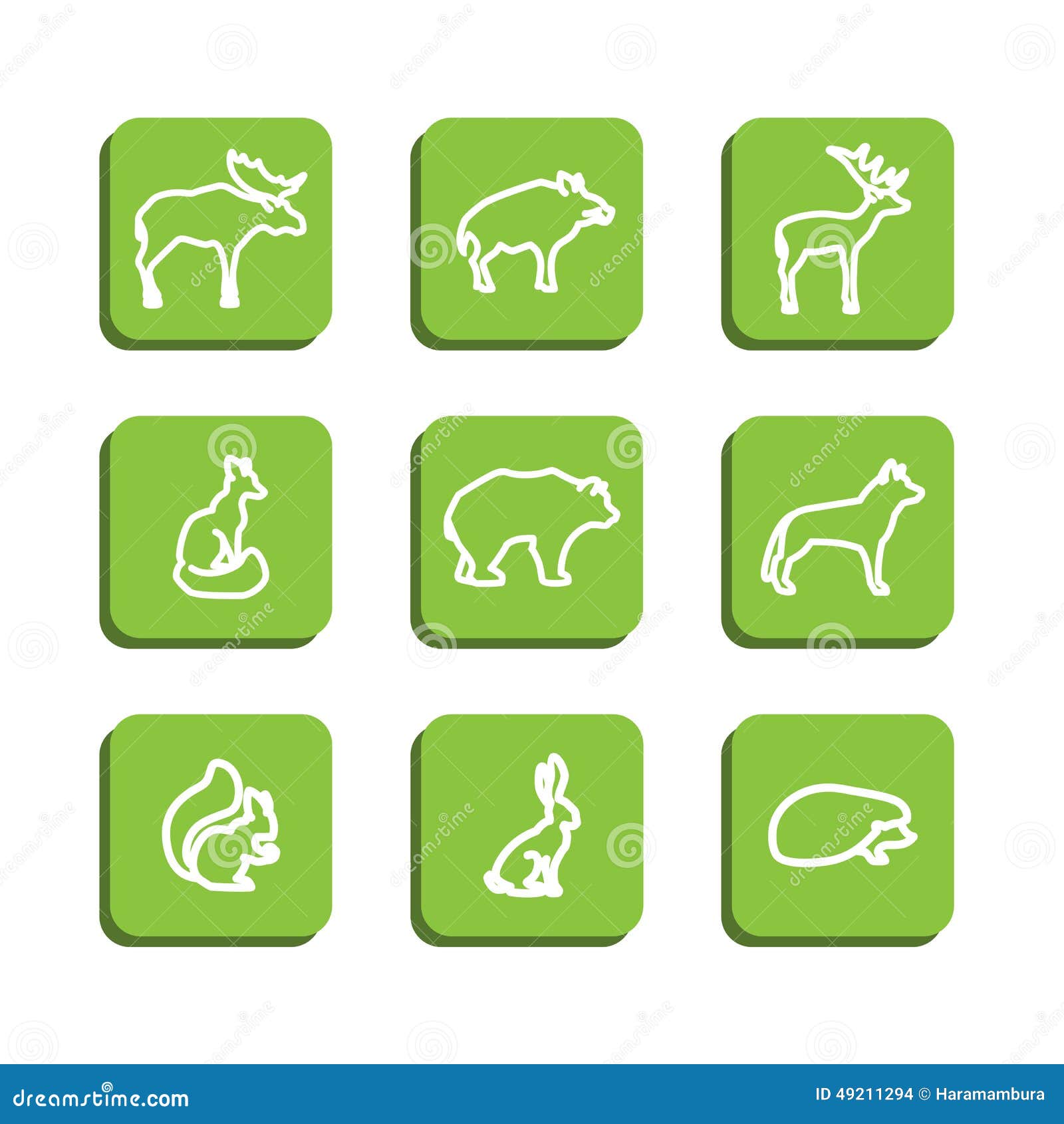 Forest animals stock vector. Illustration of icon, bear - 49211294