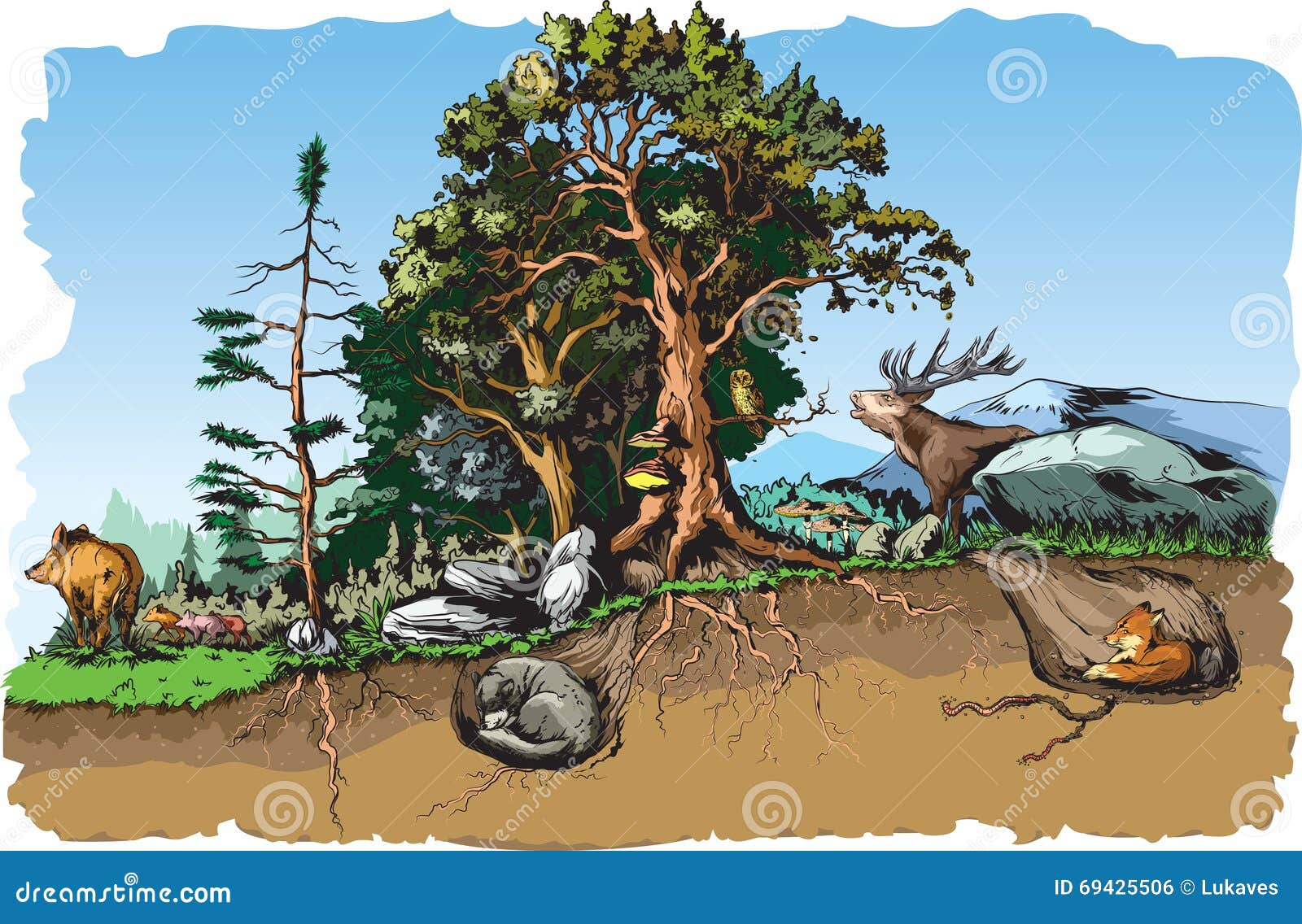 Animal Population Clipart