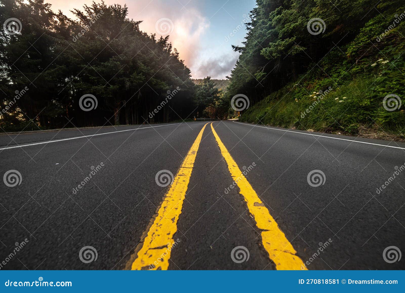 Forest Asphalt Road with Double Yellow Lane Stock Image - Image of ...