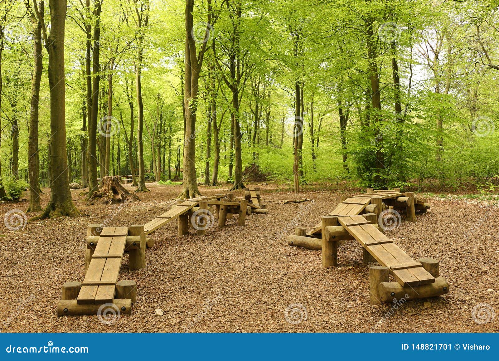 Forest Assault Course stock image. Image of outdoor - 148821701
