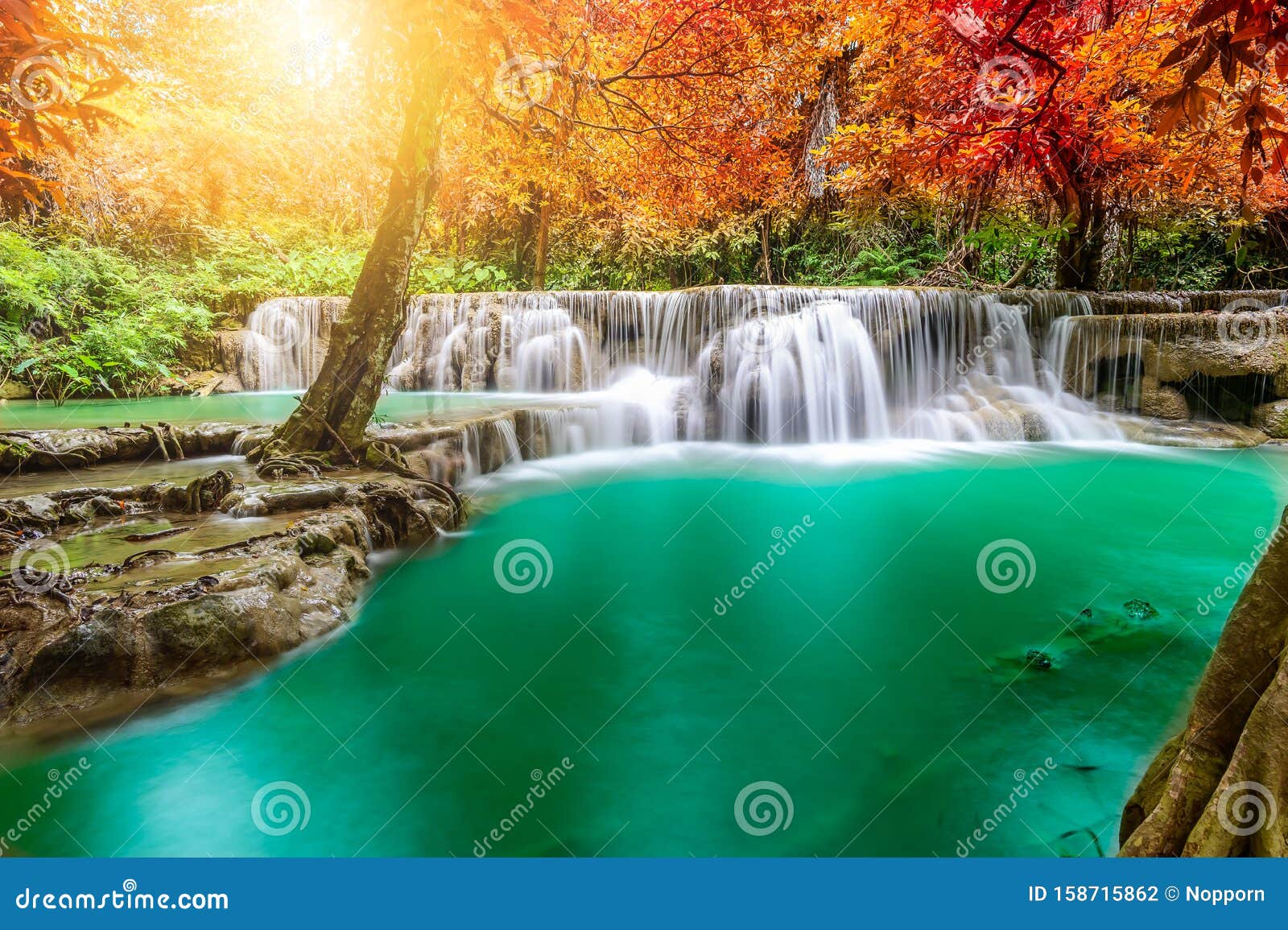 Forest in Autumn with River and Waterfalls. Stock Photo - Image of ...