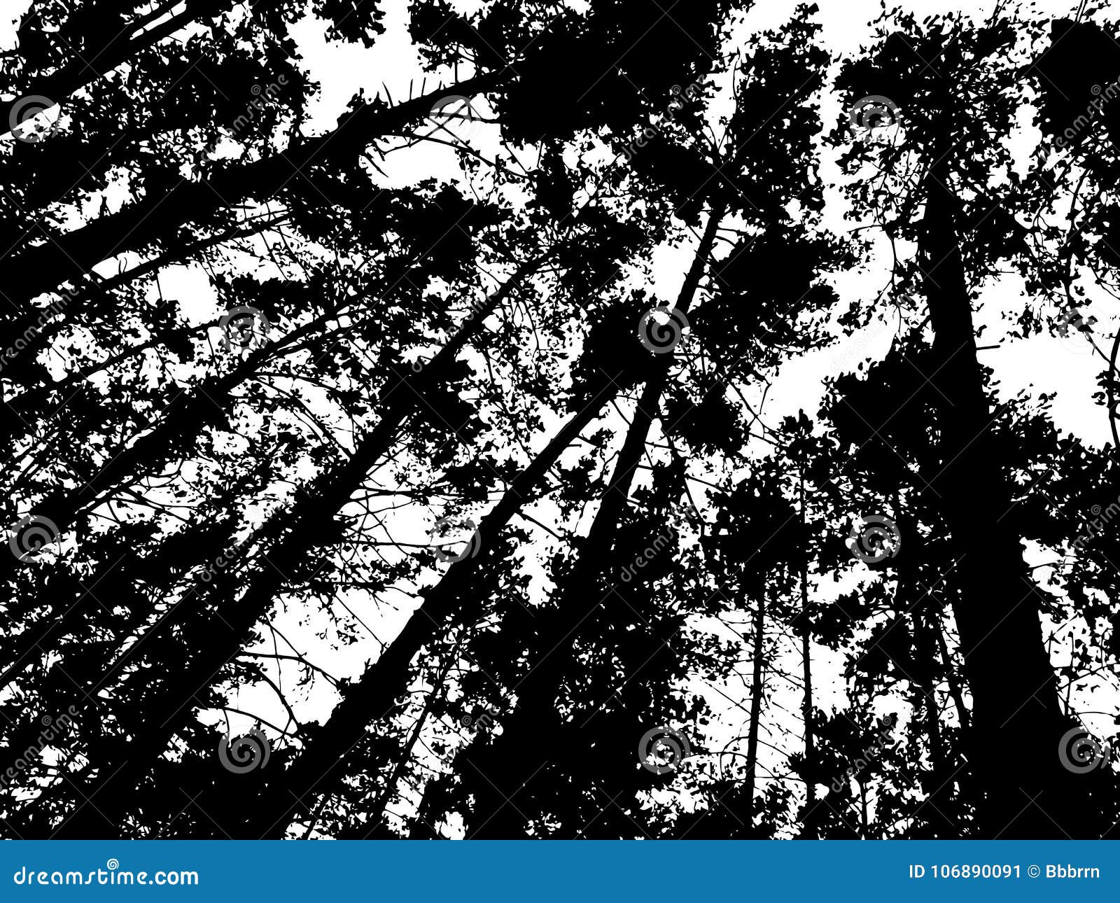 Forest Background with Tall Pine Trees, Black and White Ink Stock ...