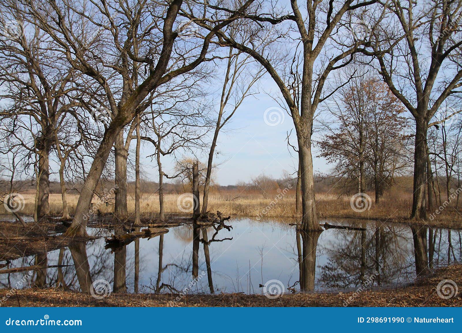 Natural Terrestrial Ecosystem