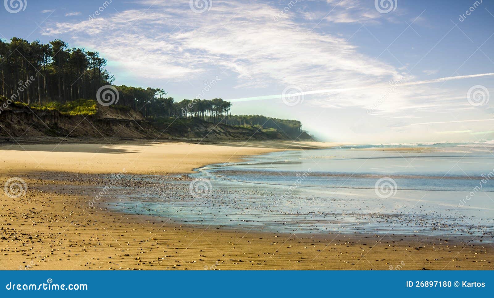 Forest and beach stock photo. Image of relax, horizon - 26897180