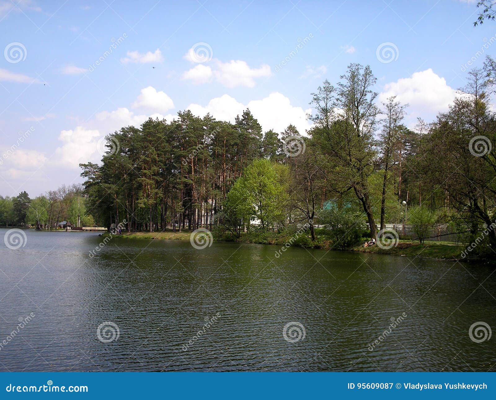 The forest behind the lake stock image. Image of beautiful - 95609087