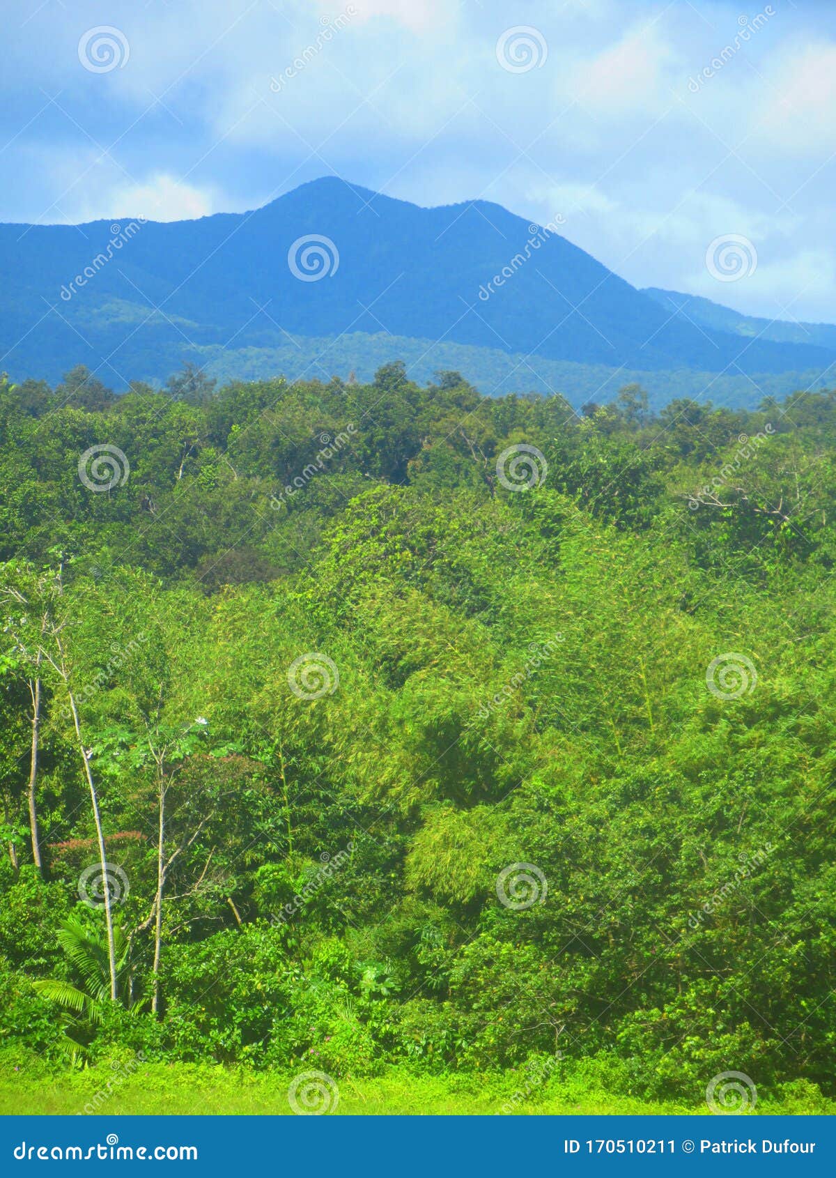 The Forest and Behind a Mountain Stock Image - Image of vegetation ...