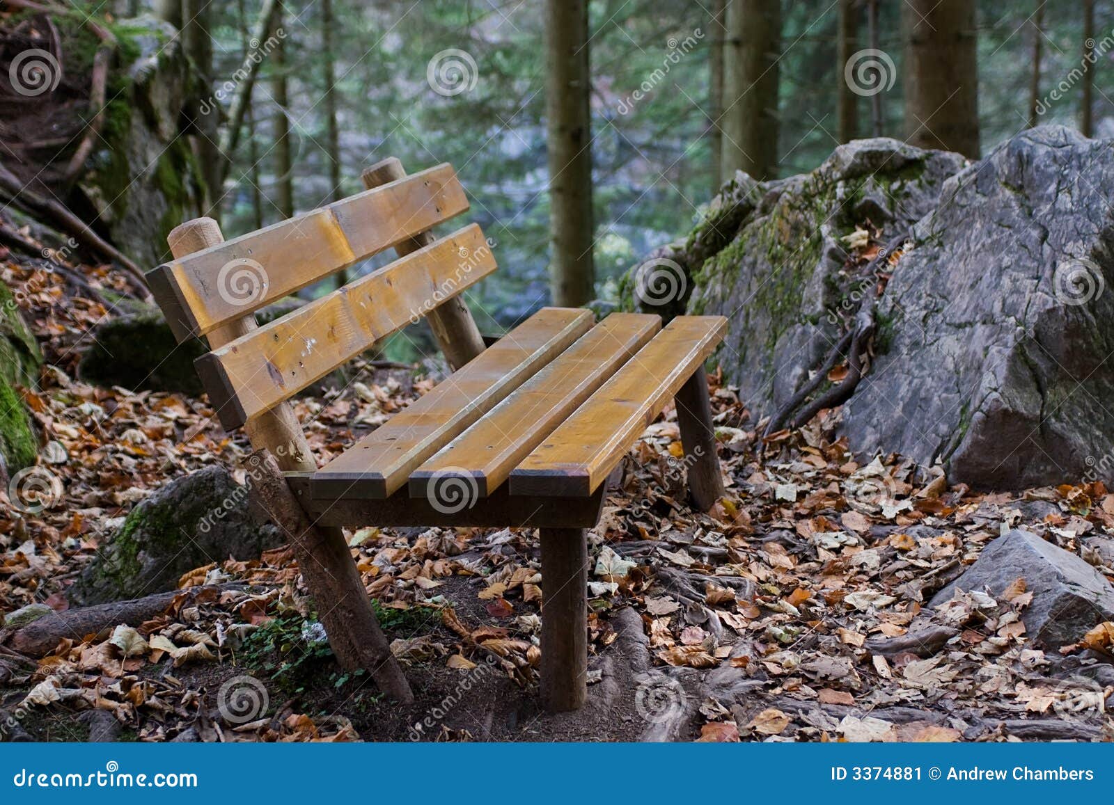 Forest Bench stock image. Image of allg, forest, alps - 3374881