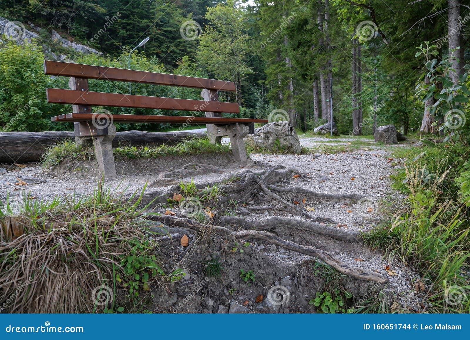 Forest - Bench for Recreation in the Woods Stock Photo - Image of ...