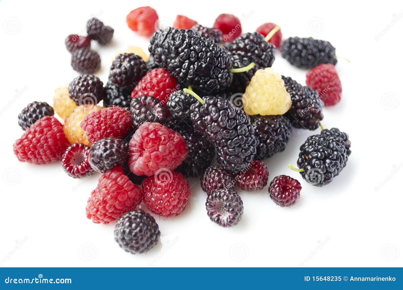 Forest berries stock image. Image of lifestyle, blueberry - 15648235