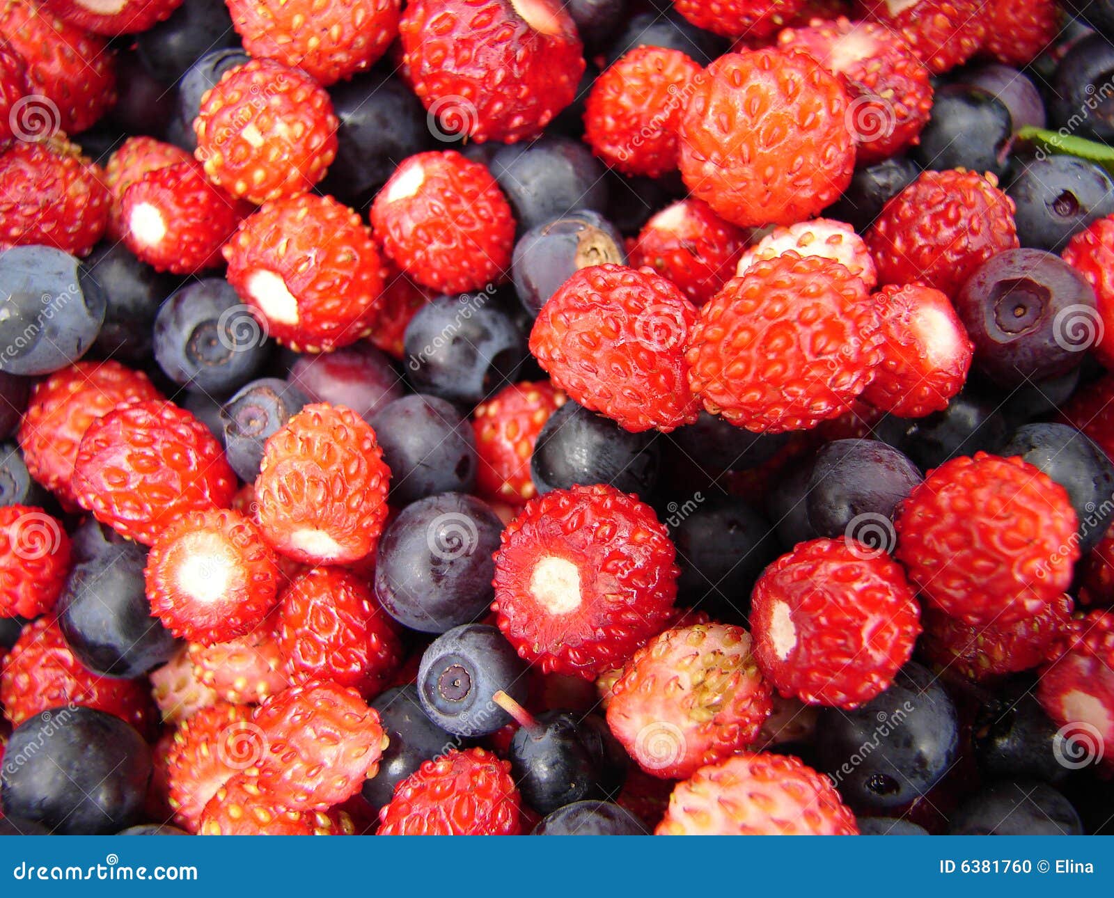 Forest berries stock photo. Image of crop, currant, eating - 6381760