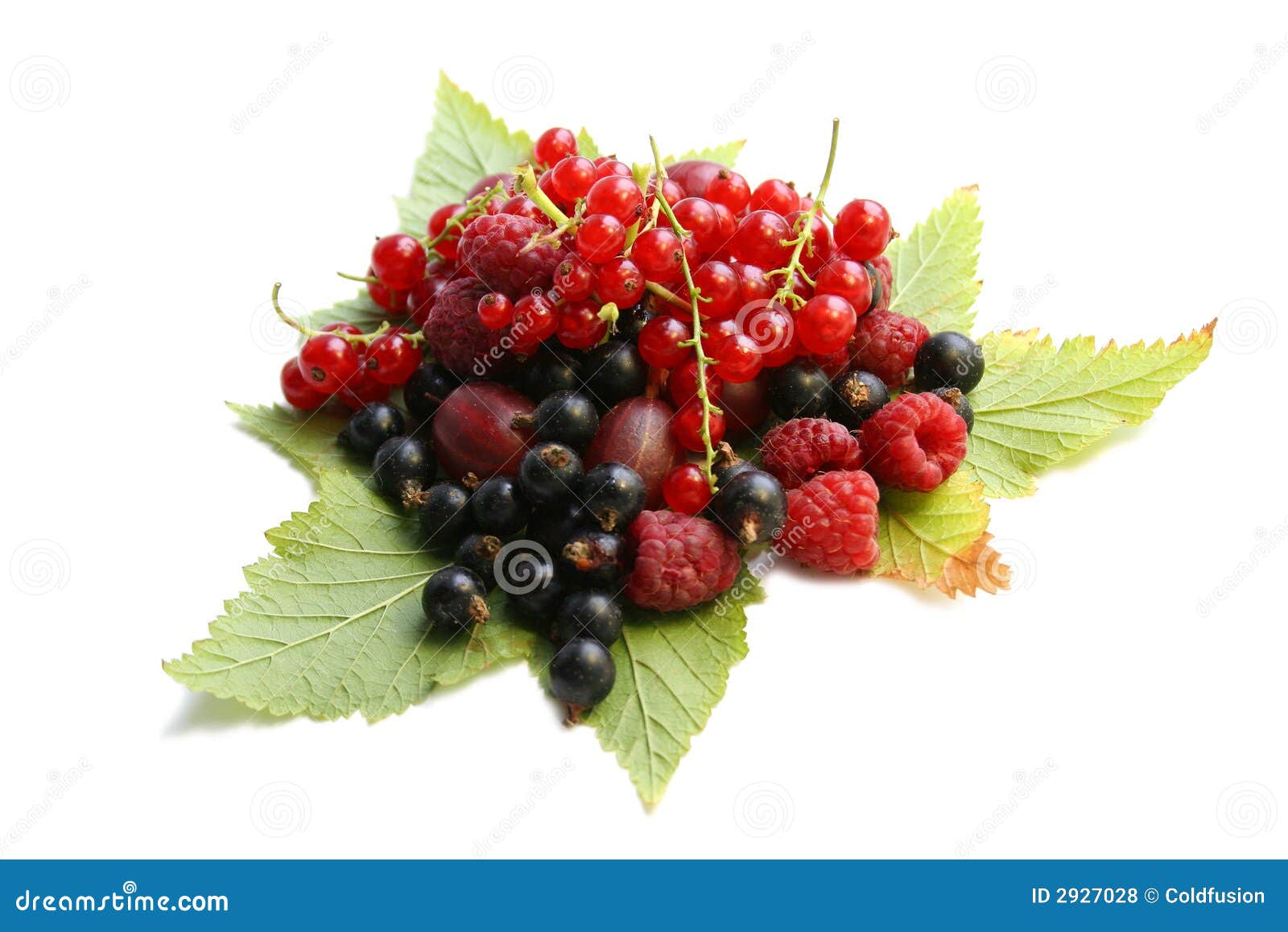 Forest Berries on the Leaves Stock Photo - Image of tropical, vitamin ...