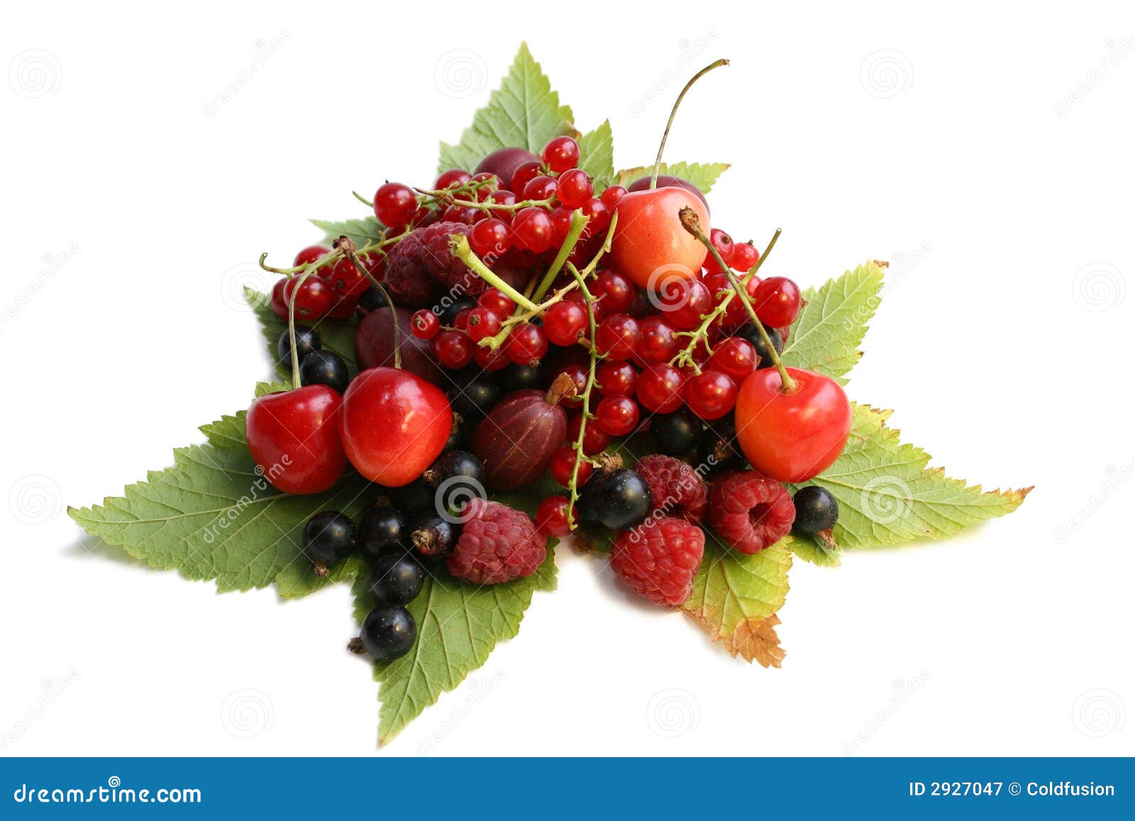 Forest Berries on the Leaves Stock Image - Image of cherry, raspberry ...