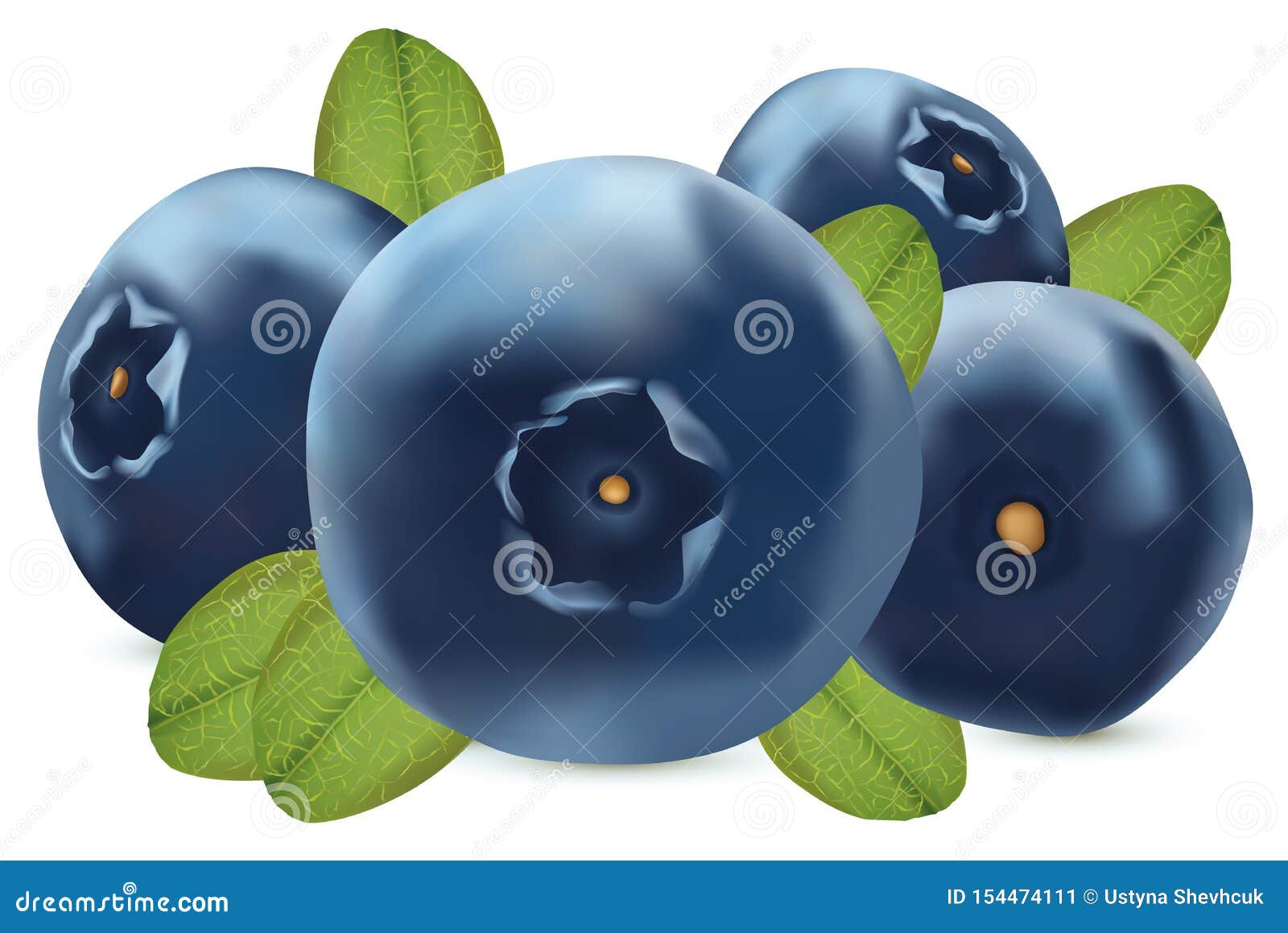 Forest Berry. 3d Realistic Blueberry on White Background. Set Blueberry ...