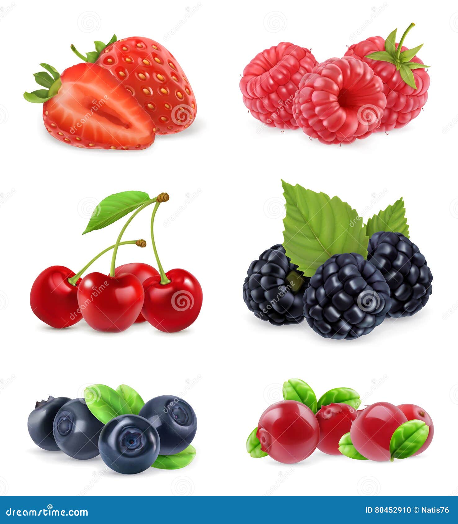 Forest Berry. Sweet Fruit. Realistic Illustration. Vector Icon Set ...