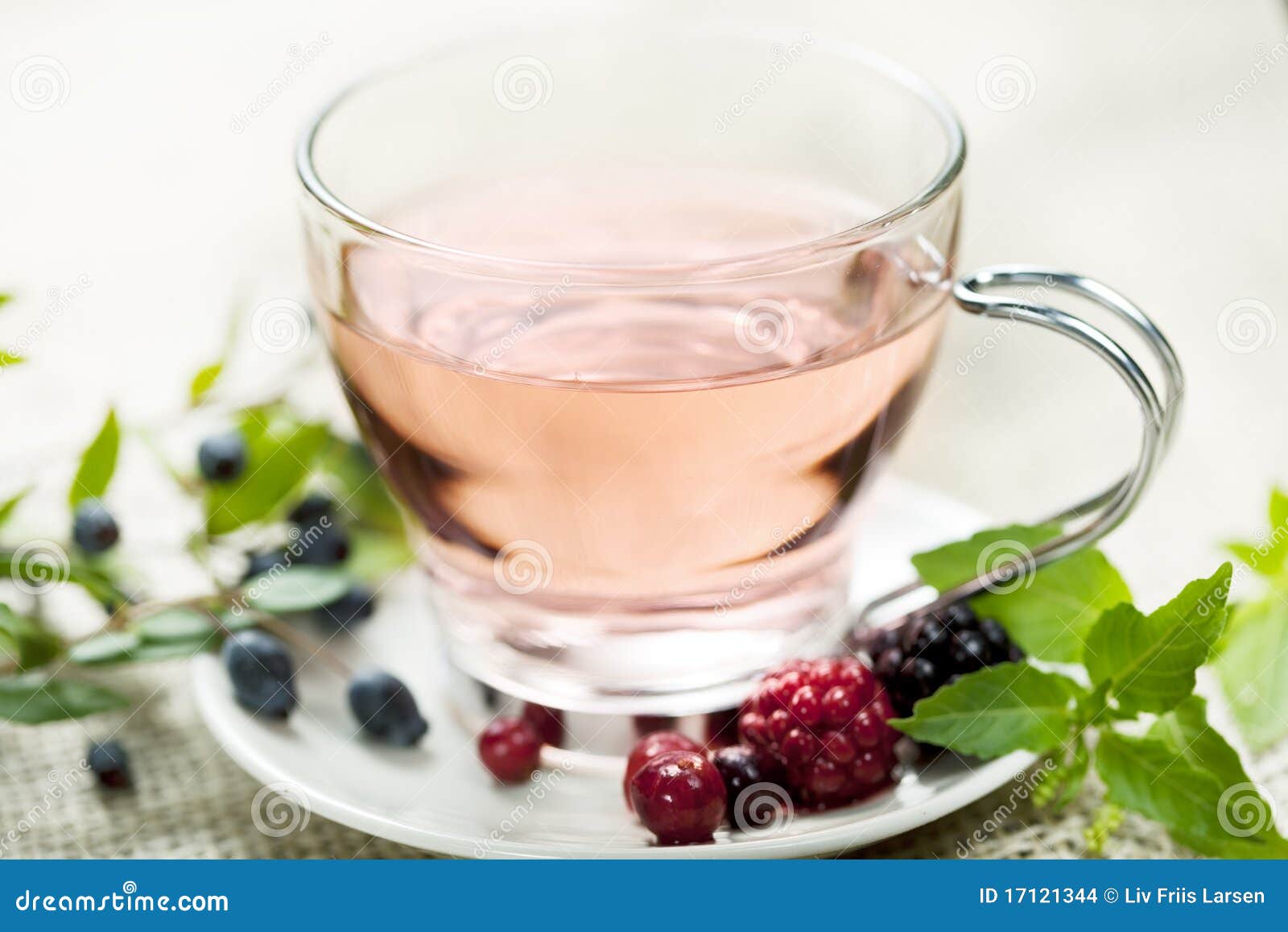 Forest berry tea stock photo. Image of redcurrant, raspberry - 17121344