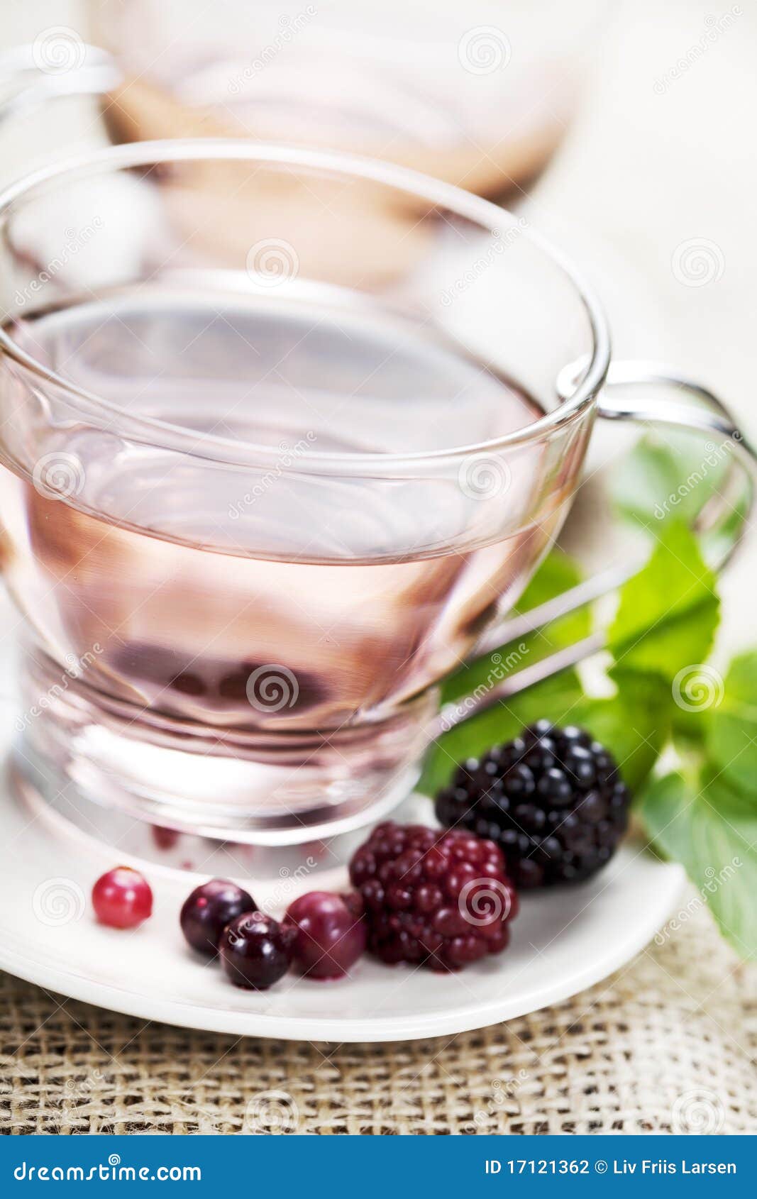 Forest berry tea stock photo. Image of black, natural - 17121362