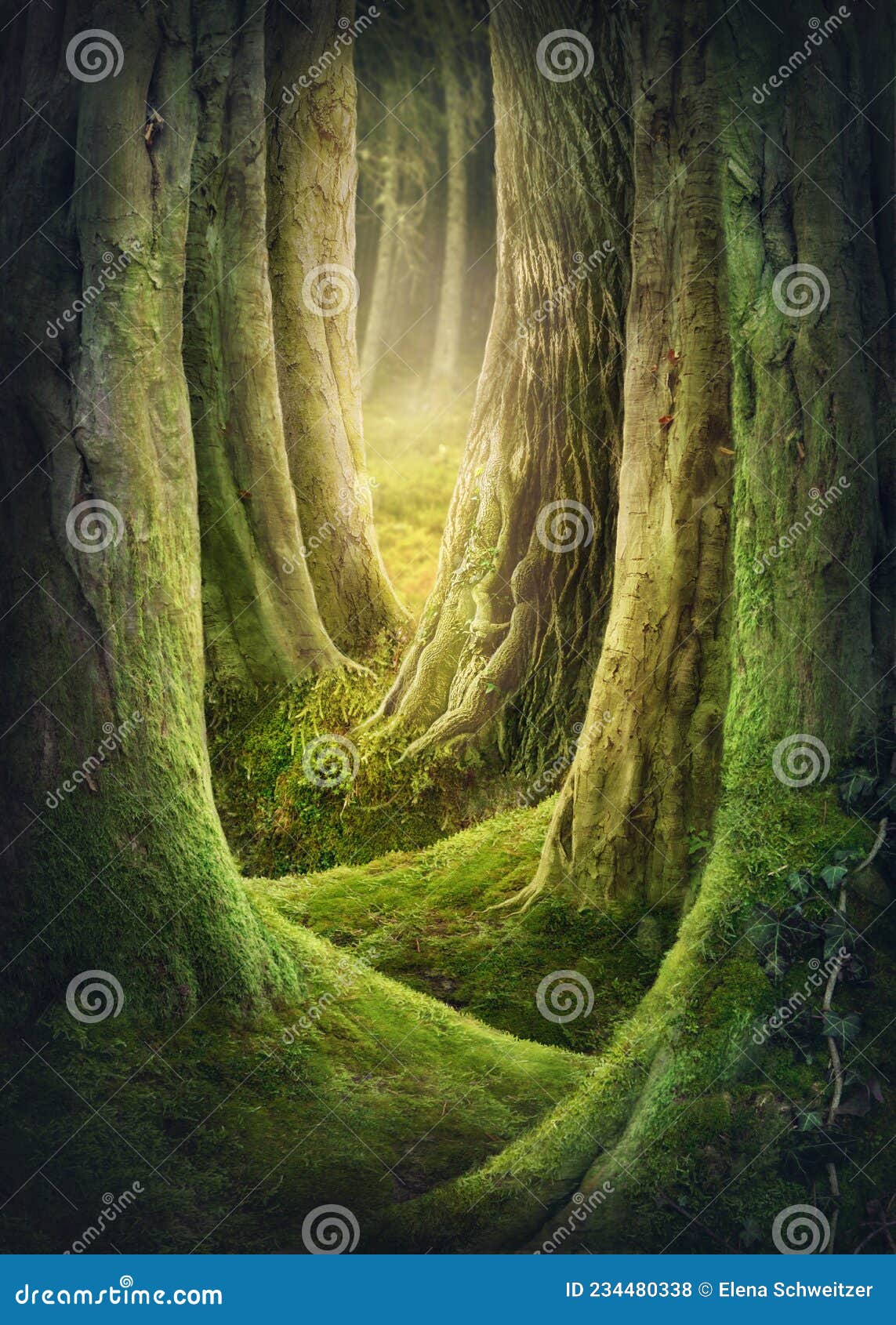 Forest with big trees stock photo. Image of fantasy - 234480338
