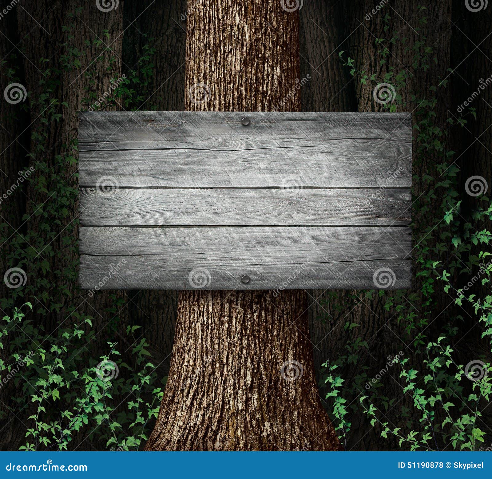 Forest Blank Sign ilustração stock. Ilustração de mistério - 51190878