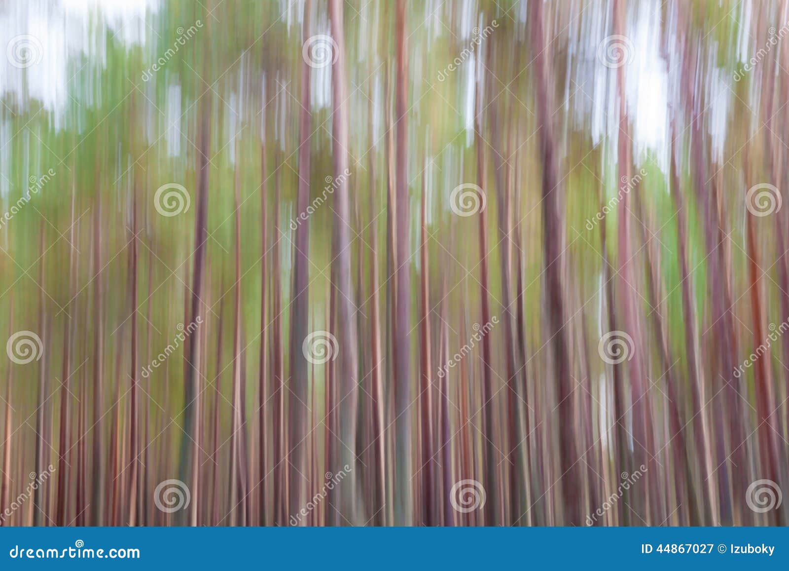 Forest Blur Abstract Background Stock Image - Image of bright, fast ...