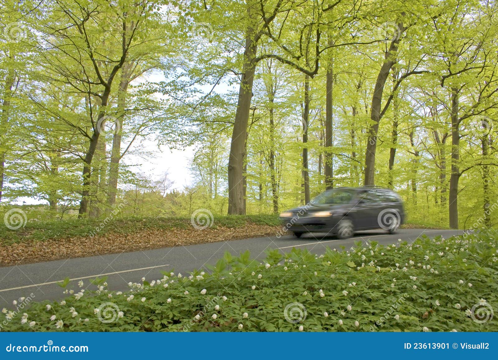 Forest,blurred Car in Springtime Stock Image - Image of plant, abstract ...