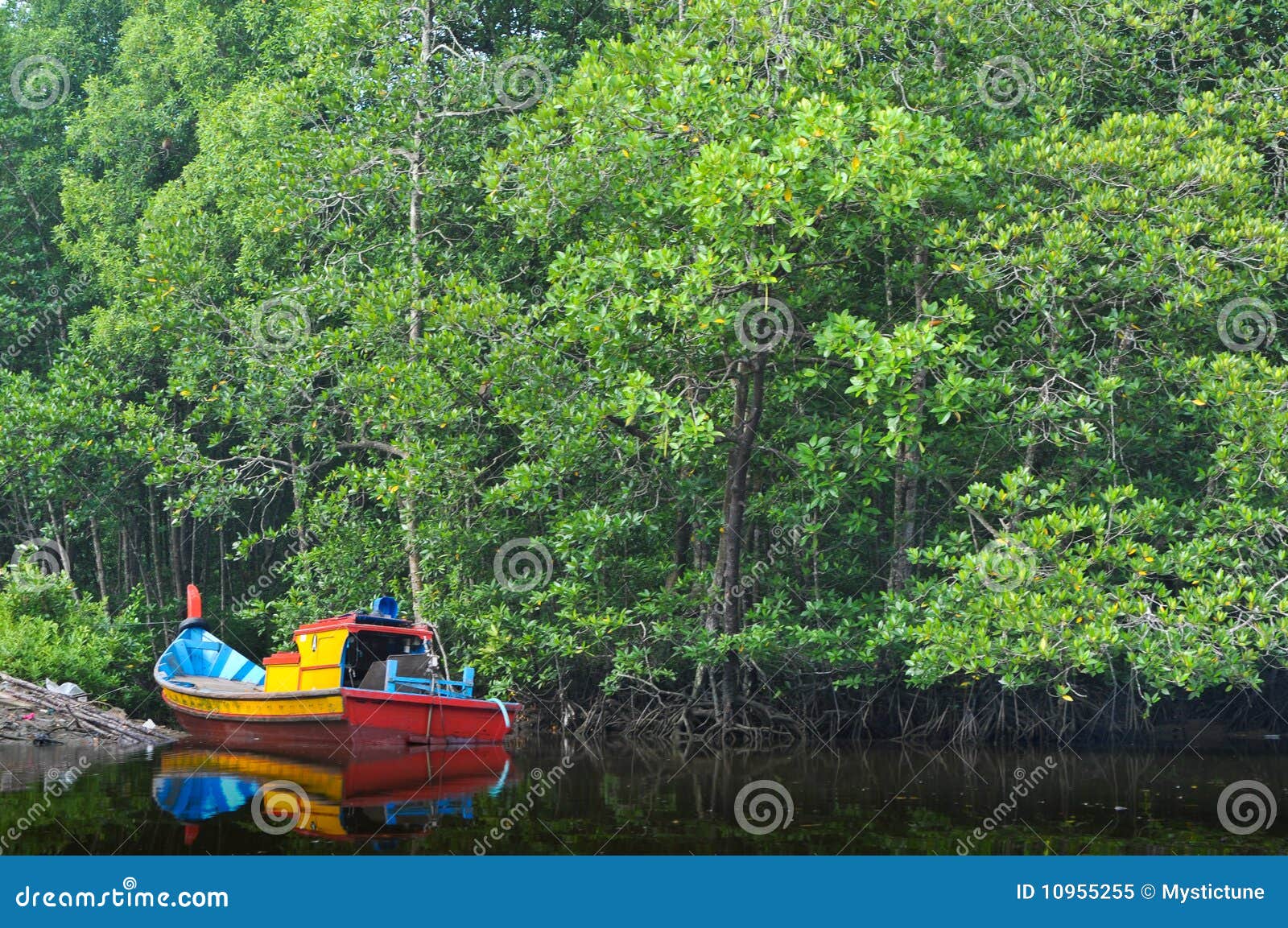 Forest boat stock image. Image of forest, swamp, nature - 10955255
