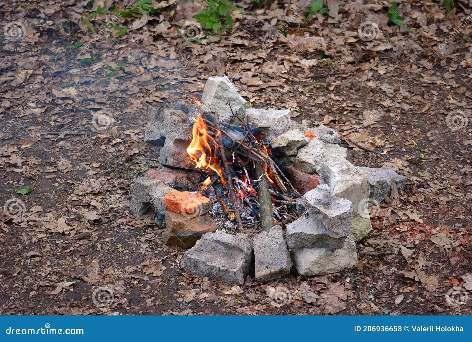 Forest Bonfire Surrounded by Stones Stock Photo - Image of closeup ...