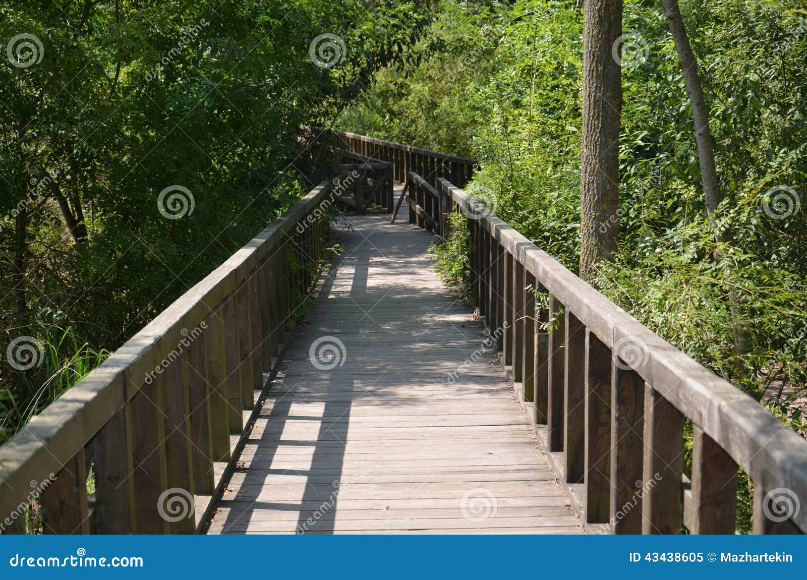 Forest Bridge Royalty-Free Stock Photo | CartoonDealer.com #43438605