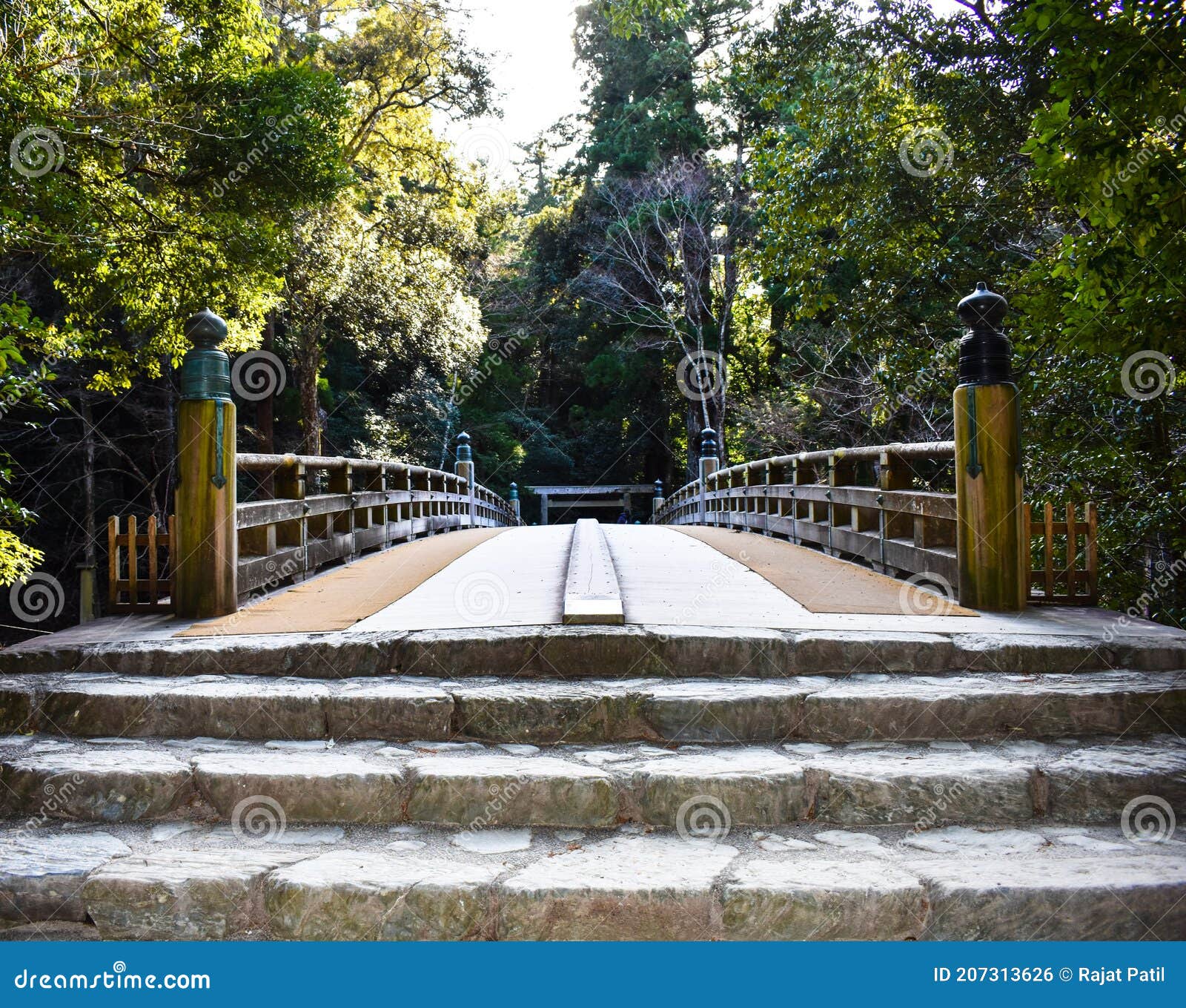 Forest bridge Japan. stock photo. Image of bridge, japan - 207313626