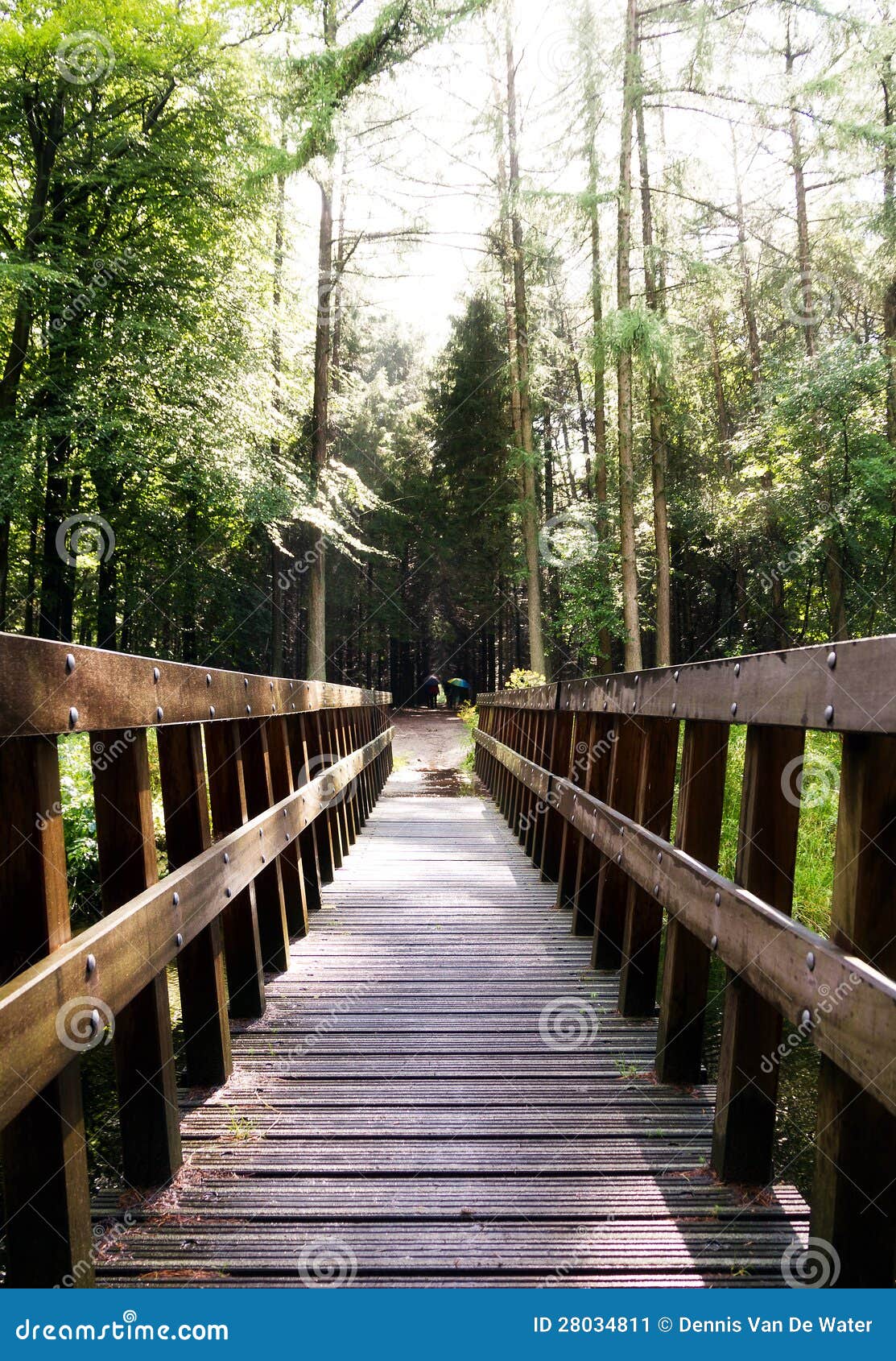 Forest bridge perspective stock image. Image of scenic - 28034811