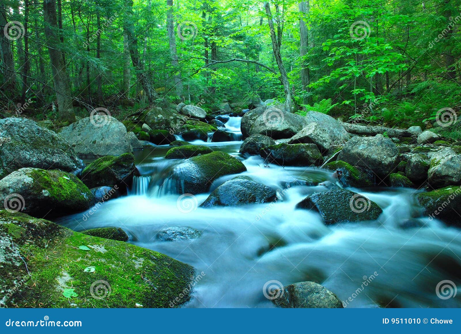 Forest brook stock photo. Image of forest, spring, flowing - 9511010