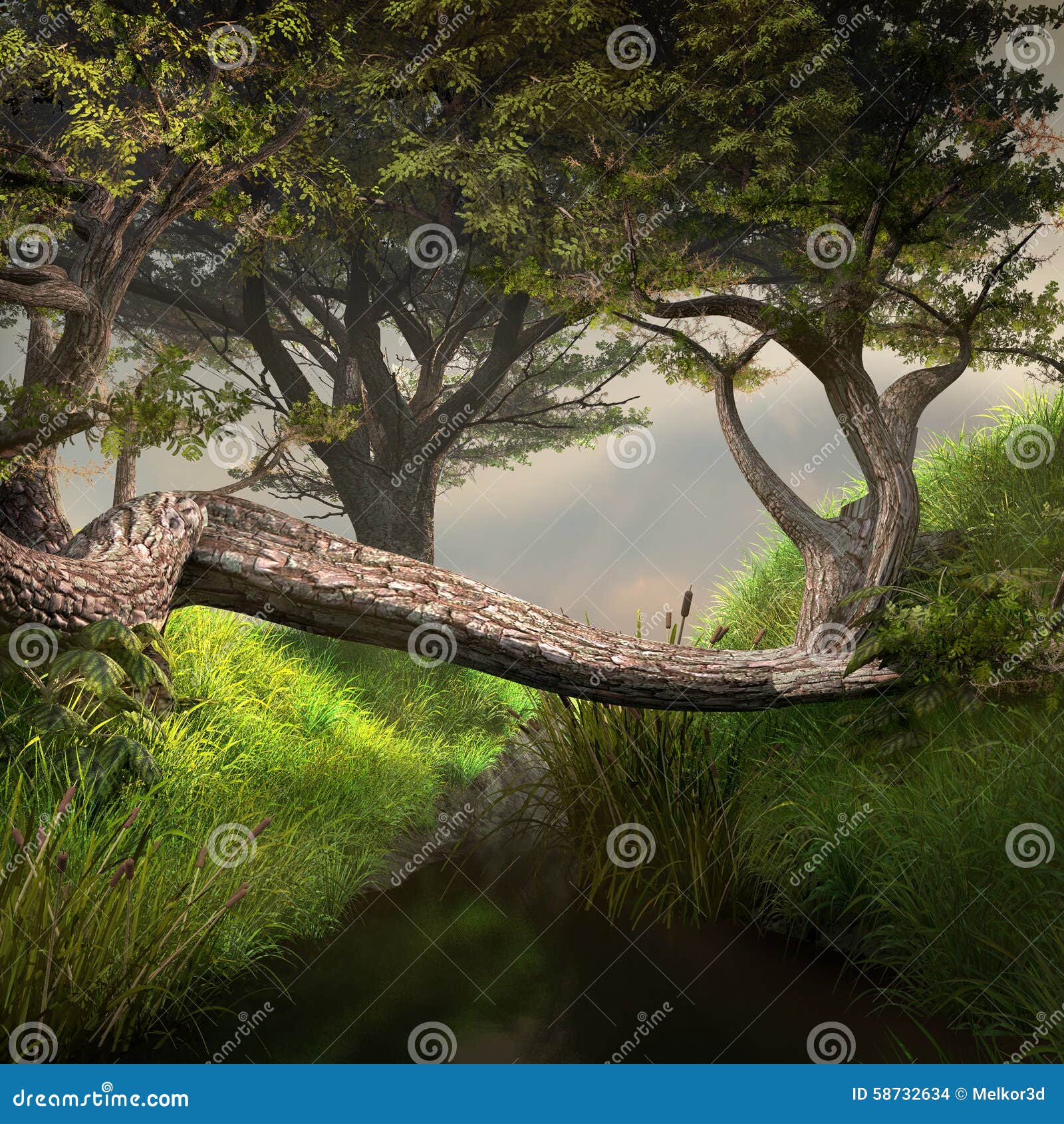 Forest brook stock illustration. Illustration of background - 58732634