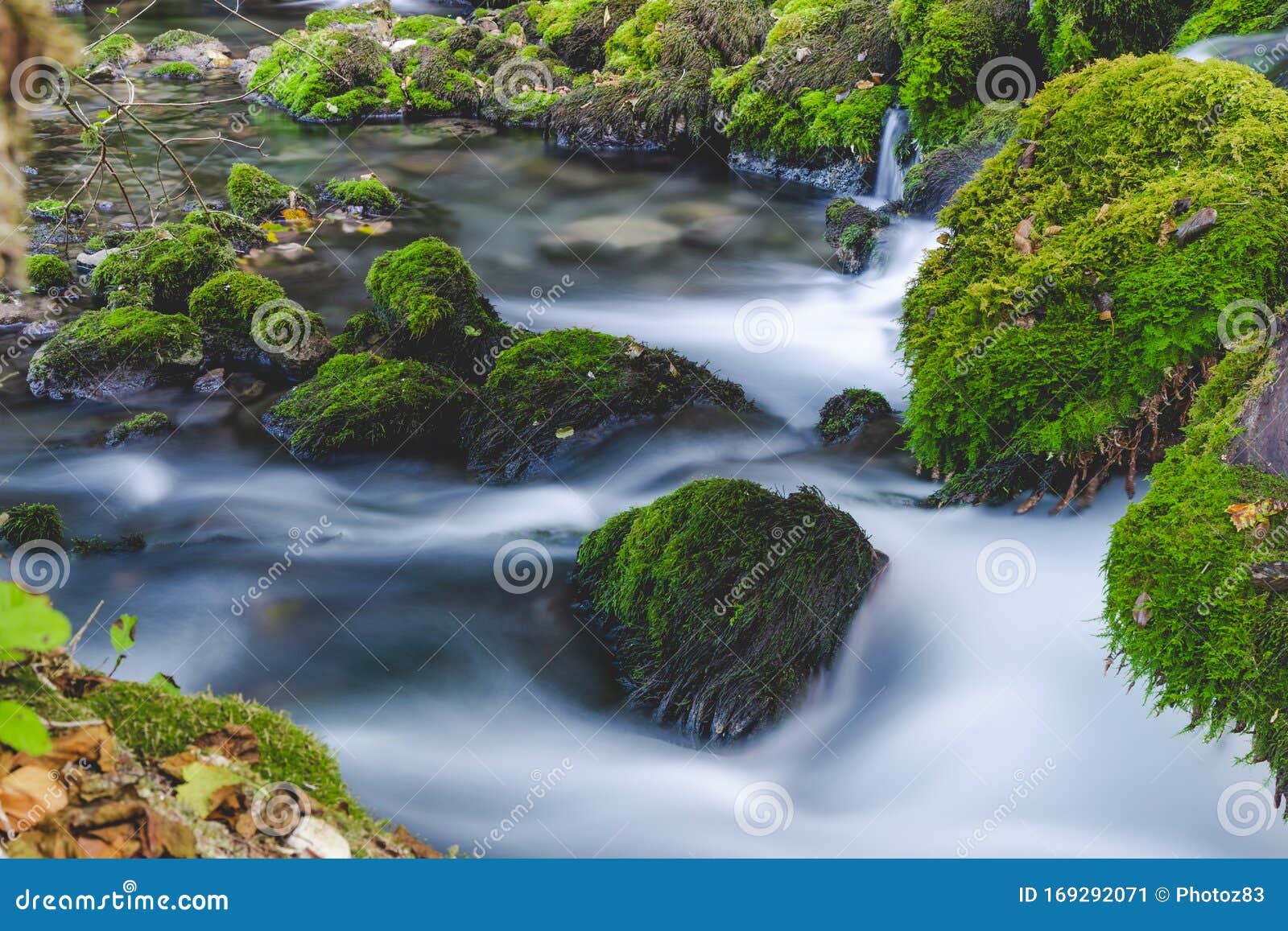 Forest Brook Mountain Stream between Mossy Rocks Stock Image - Image of ...