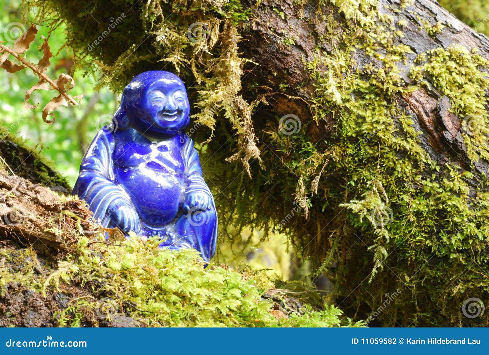 Forest Buddha stock photo. Image of artifact, religion - 11059582