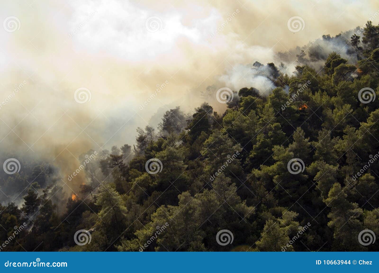 Forest Burning Athens editorial stock image. Image of greek - 10663944