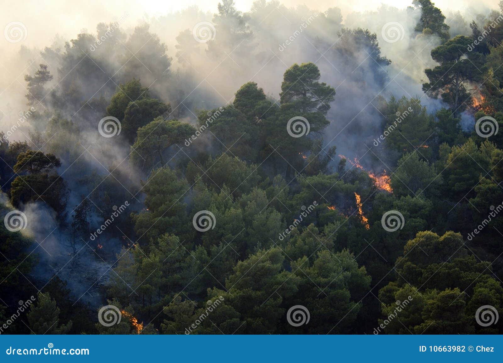 Forest burning Athens editorial photography. Image of fires - 10663982