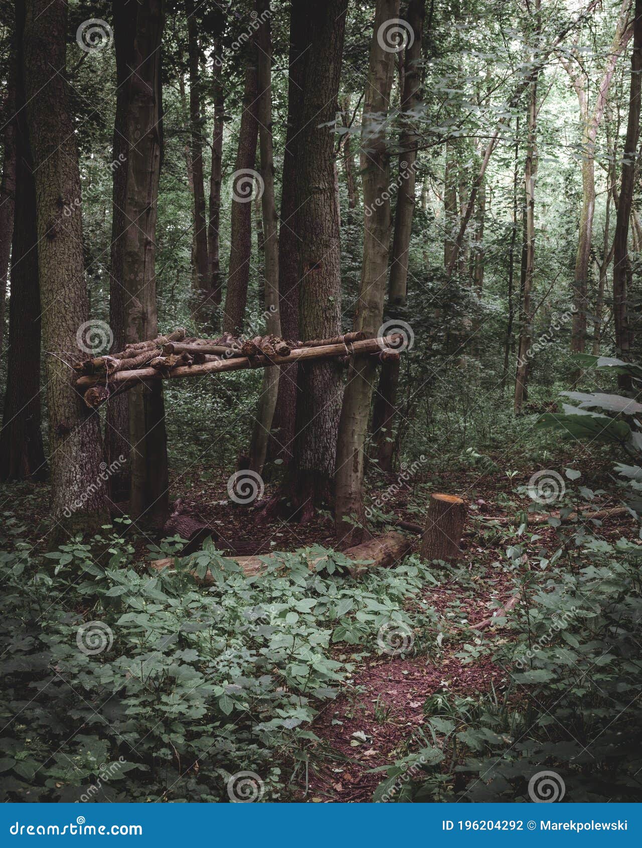 Forest Bushcraft Rustick Shack Made of Wooden Logs Stock Photo - Image ...