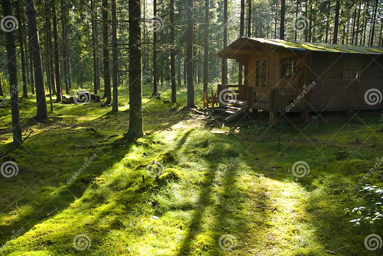 Forest Cabin on Sunny Morning Stock Image - Image of cottage ...