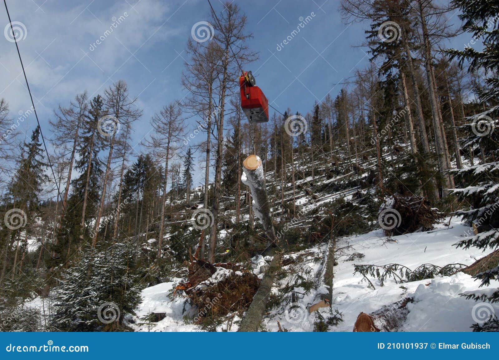 A Forest Cableway for Transportation Stock Image - Image of logs ...