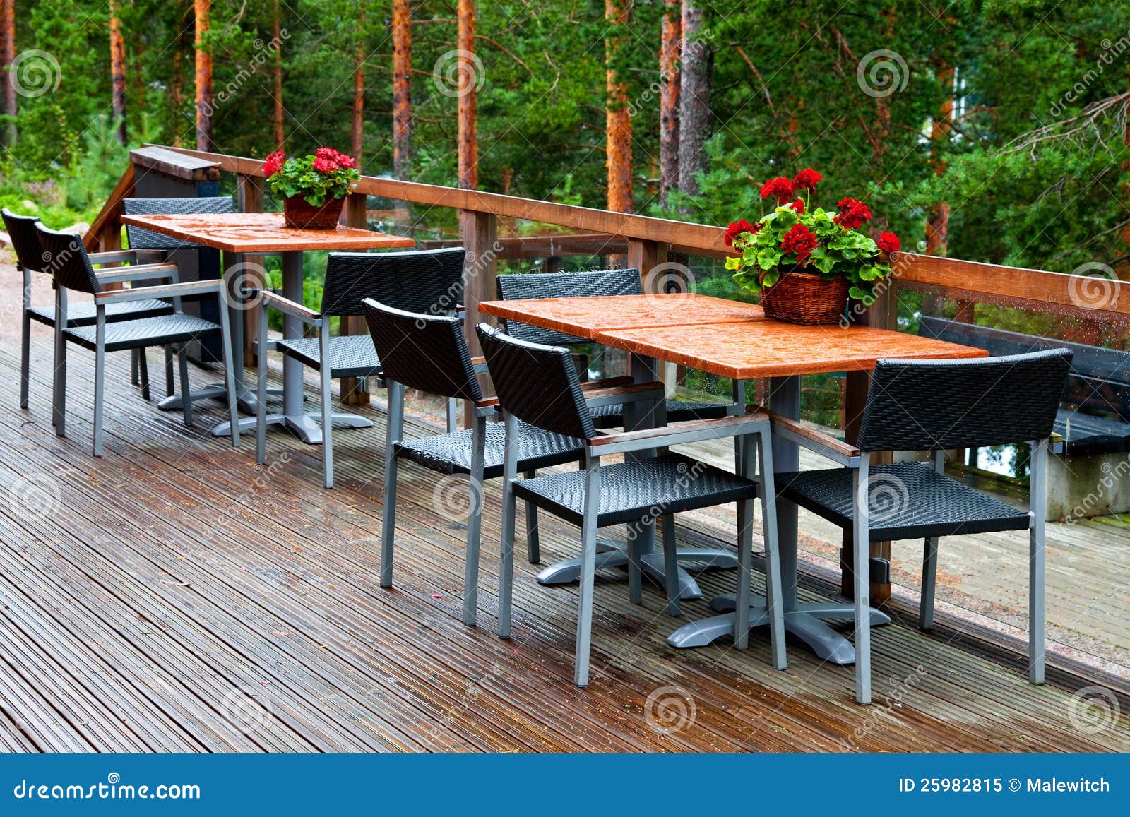 Forest cafe-1 stock image. Image of tranquil, plant, seat - 25982815
