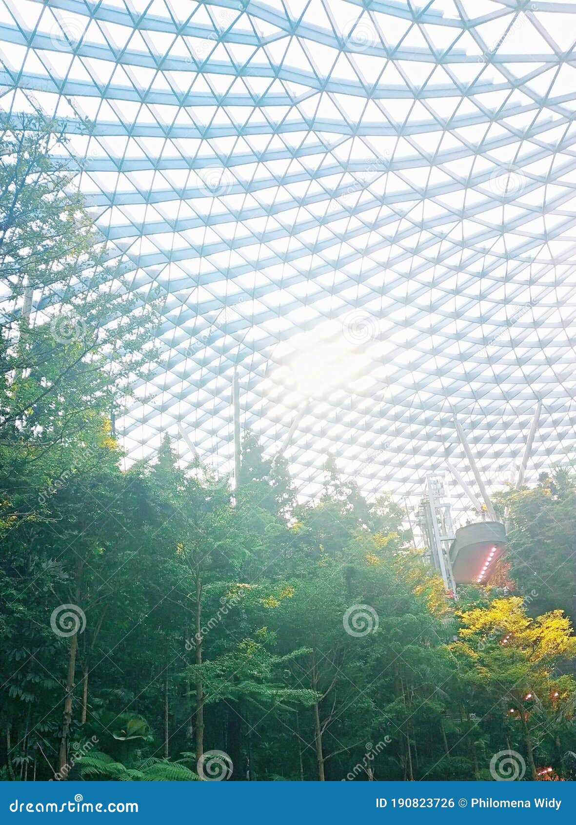 Forest in the cage editorial photo. Image of branch - 190823726