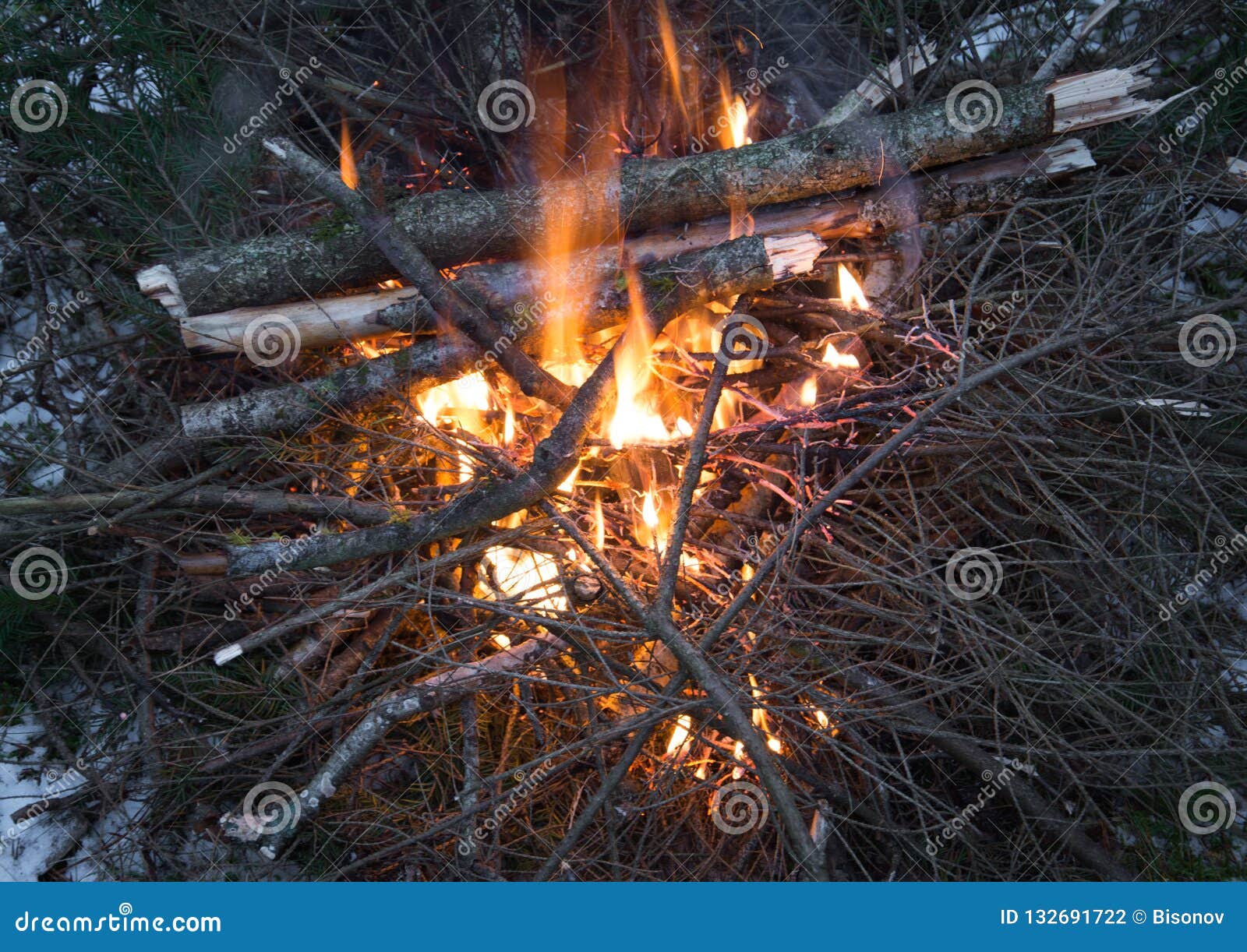 Forest camp fire stock photo. Image of nature, horizontal - 132691722