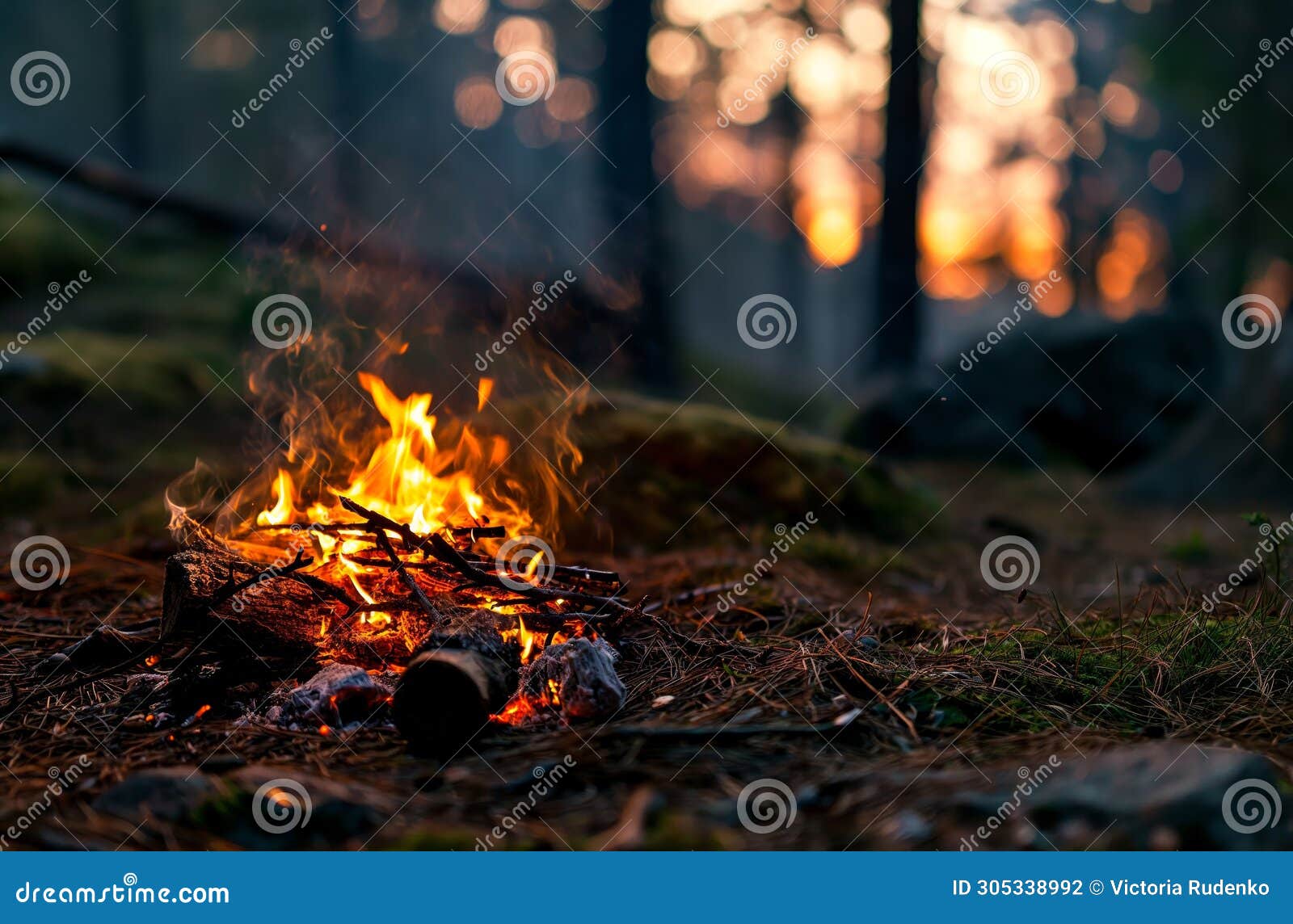 Forest campfire at sunset stock photo. Image of evening - 305338992