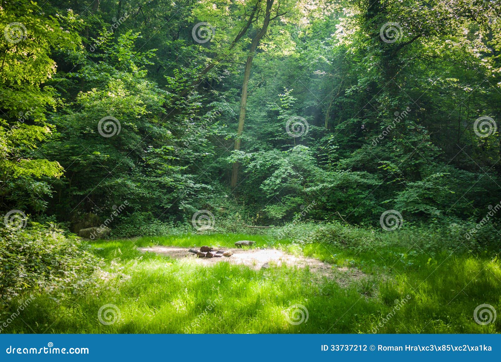 Forest camping place stock photo. Image of green, barbecue - 33737212