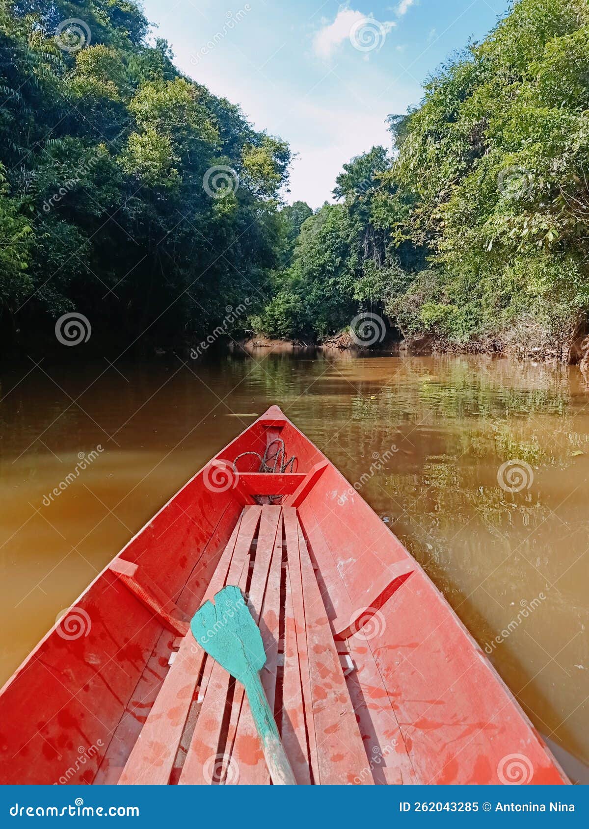 Forest and canoe red stock image. Image of nature, canoe - 262043285