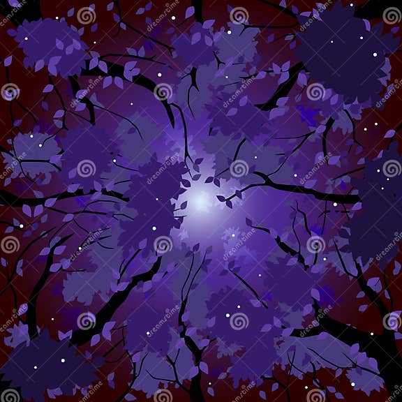 Forest canopy - night stock vector. Illustration of season - 5015389