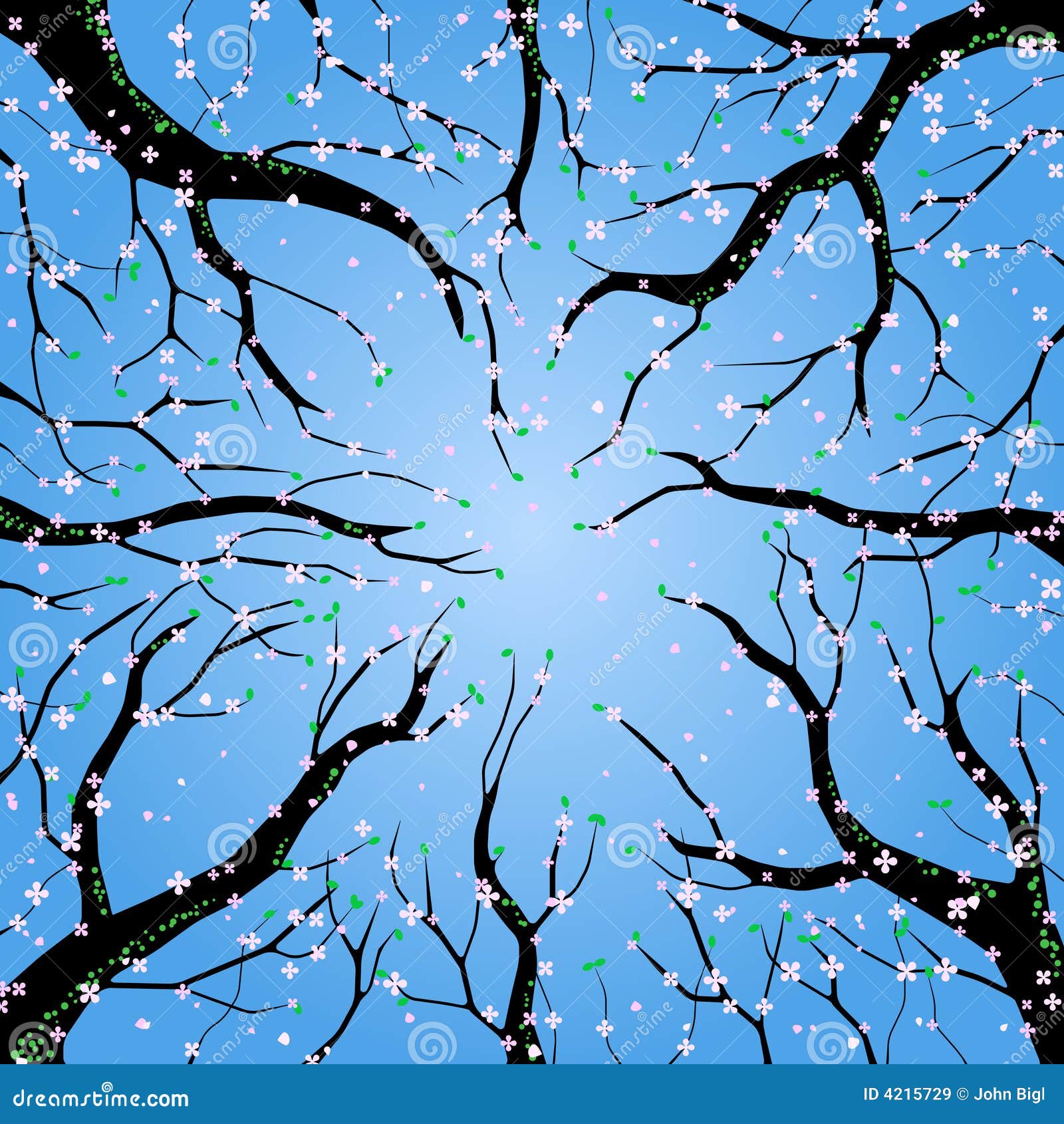 Forest Canopy View: Gazing Up At Verdant Tree Canopies Royalty-Free ...