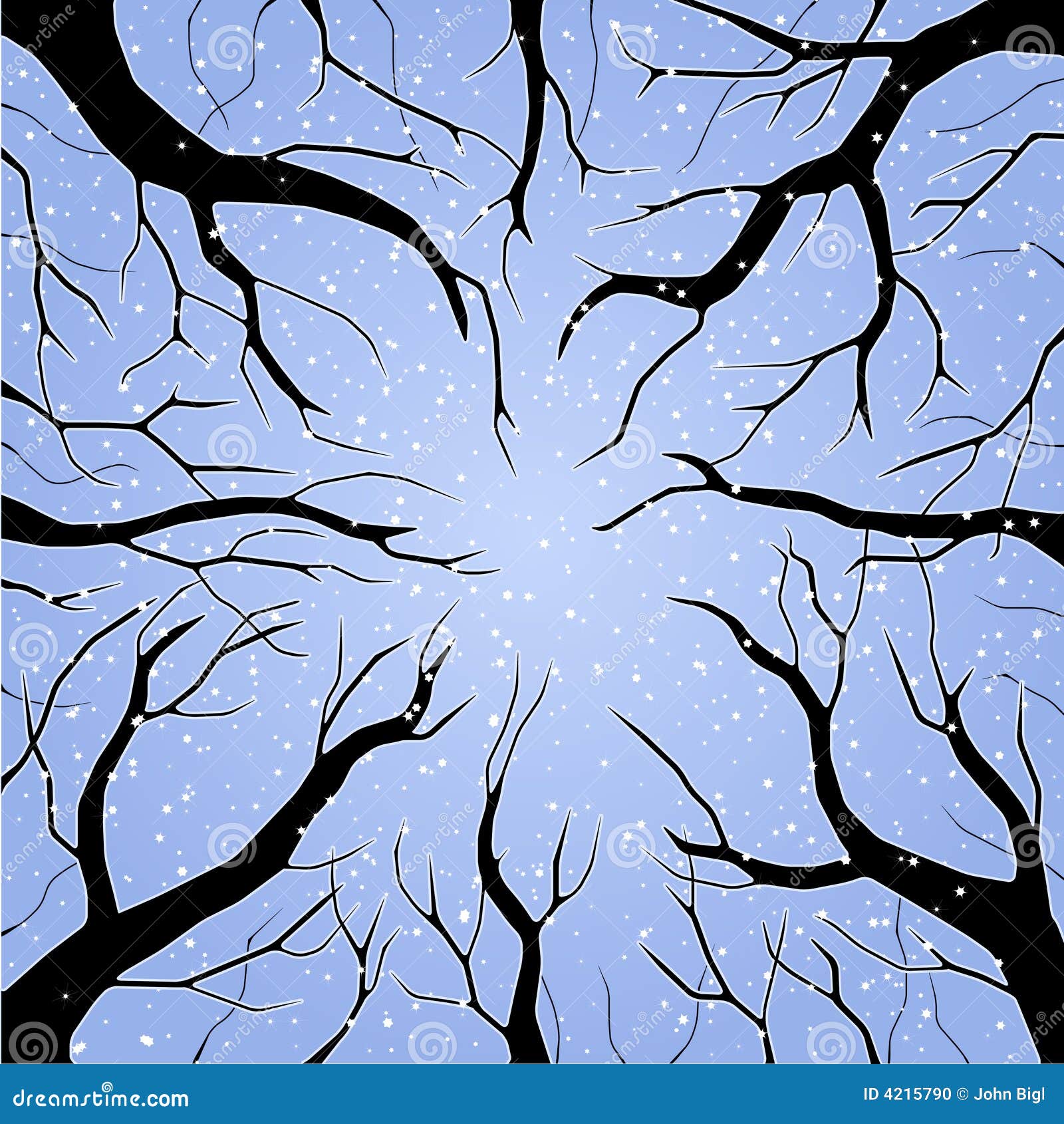 Forest Canopy View: Gazing Up At Verdant Tree Canopies Royalty-Free ...