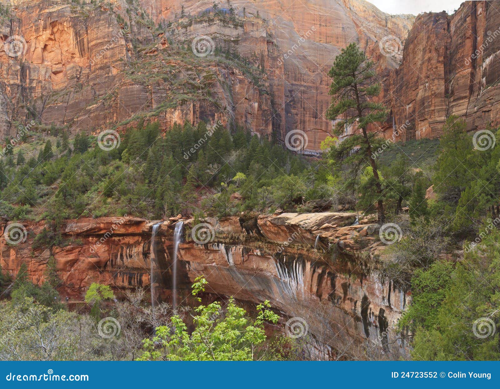 Forest Canyon Waterfalls stock photo. Image of landscape - 24723552