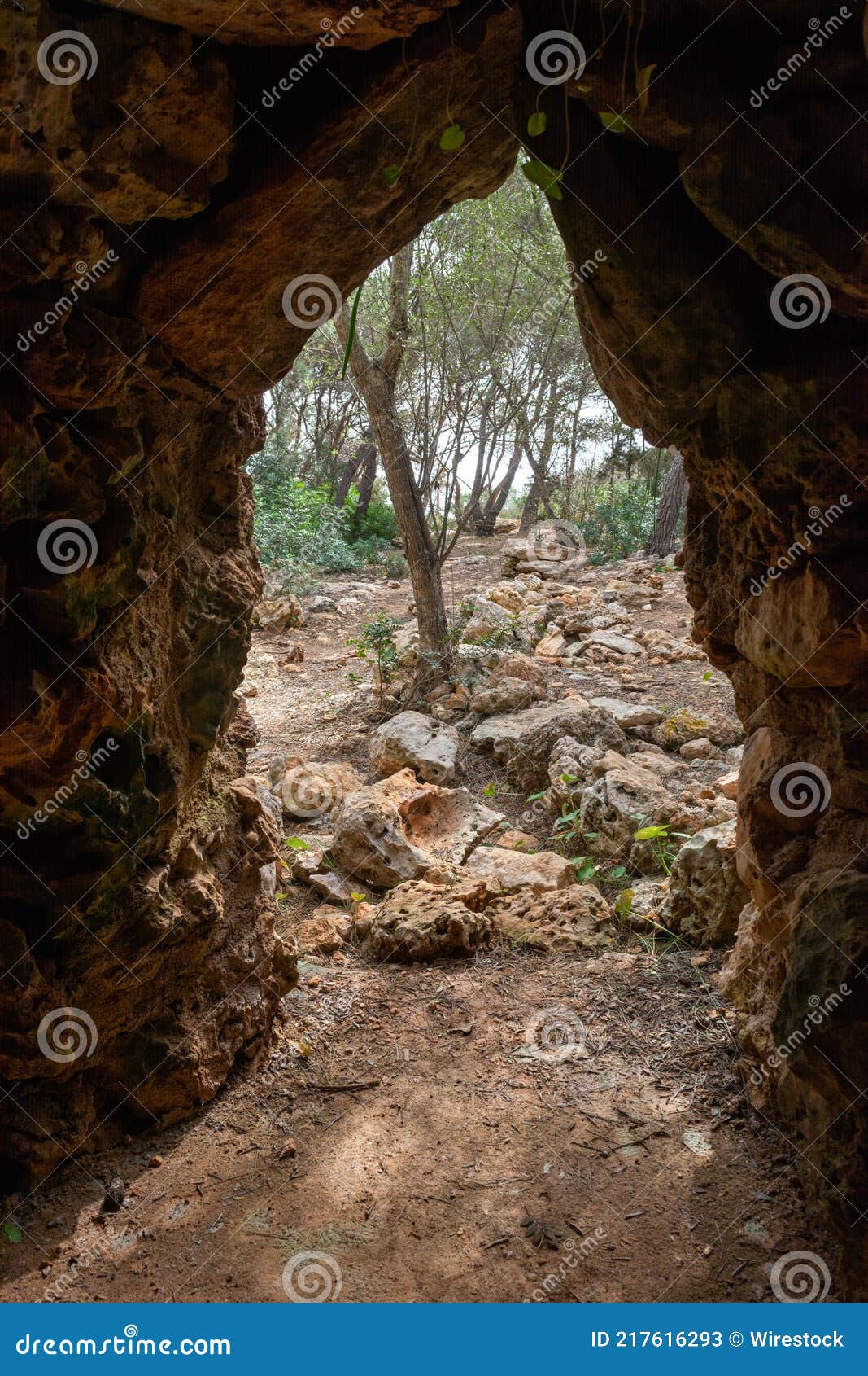 Forest Captured from an Archeological Grotto Stock Image - Image of ...
